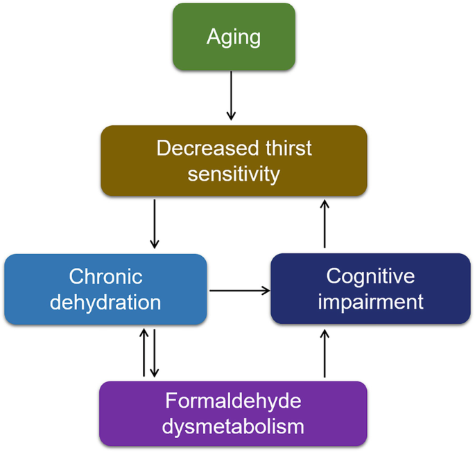 Dehydration, Formaldehyde, and Age-Related Cognitive Impairment ...