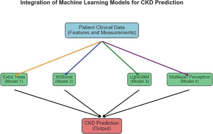 IMLS-CKD: Innovative Machine Learning Strategies for Early Chronic ...