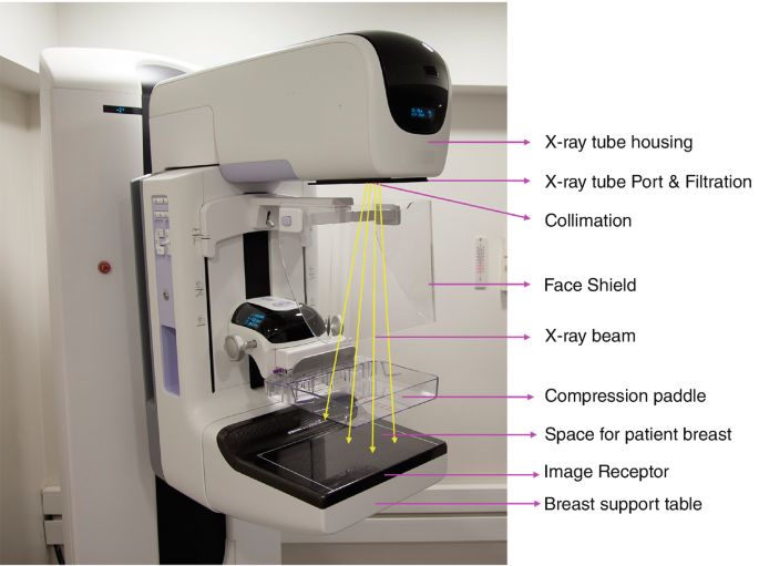 Mammography: Physics, Principle of Operation, Quality Control, and ...