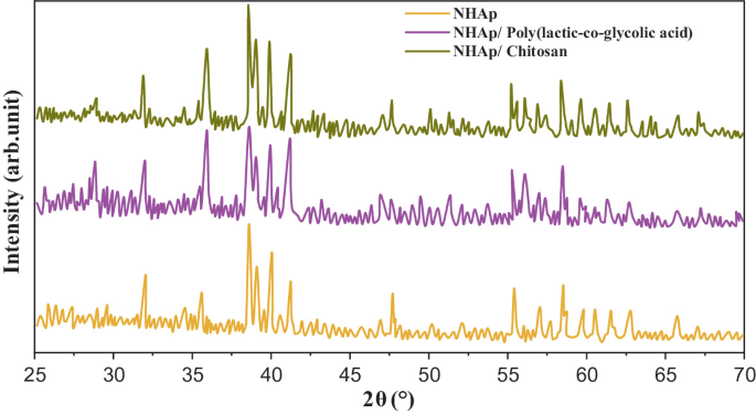 Investigating Clamshell-Derived NHAp Composites with PLGA and Chitosan ...