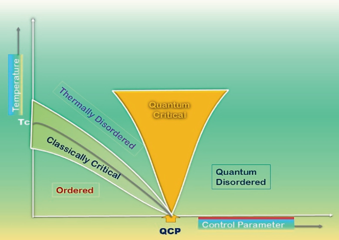Quantum Criticality in the Sustainable Perovskite Multiferroic ...