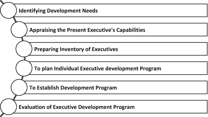 Development | Springer Nature Link