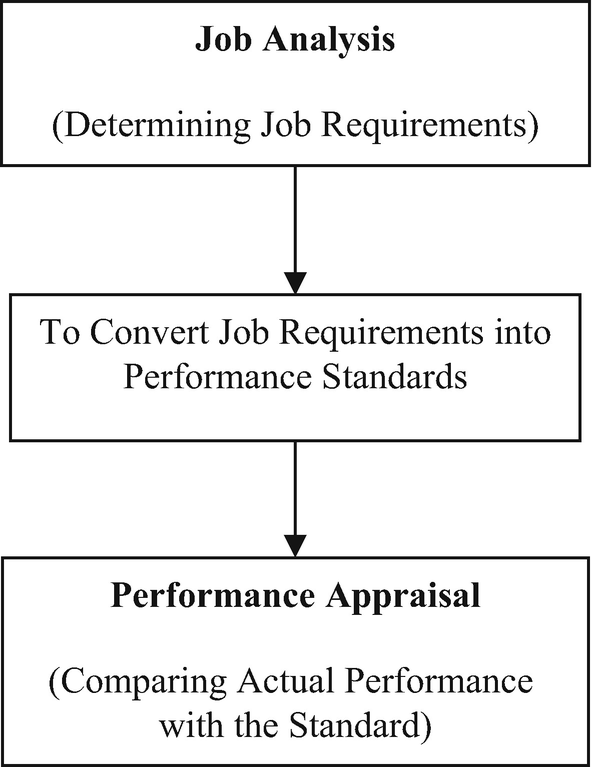 Performance Appraisal | Springer Nature Link (formerly SpringerLink)