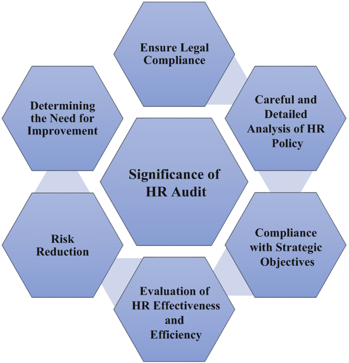 Human Resource Audit | SpringerLink