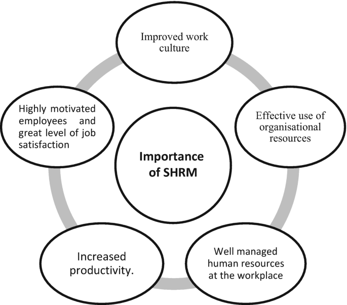 Strategic Human Resource Management | SpringerLink