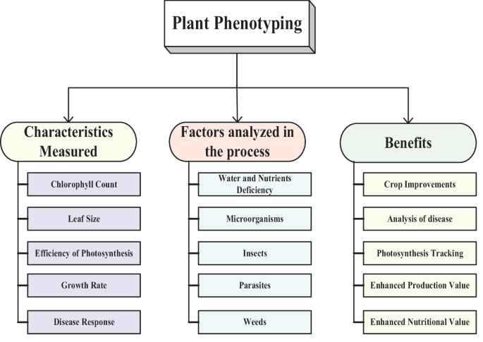 Transforming Plant Phenotyping Through AI: Trends and Innovations ...