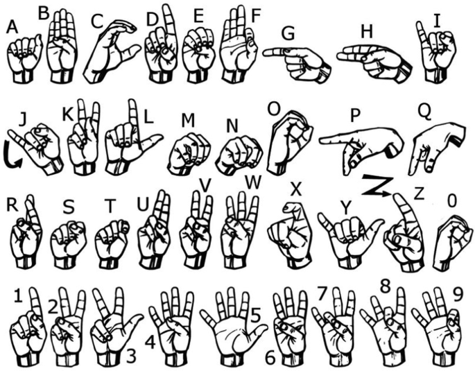 Empowering the Deaf and Mute with Real-Time Sign Language Translation ...