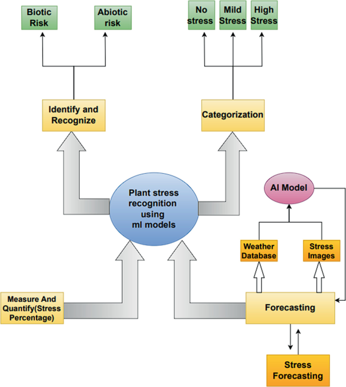 A Review of Stress in Plants | SpringerLink