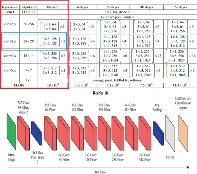 Quality Assessment of Fruits and Vegetables Using Deep Learning | Springer Nature Link