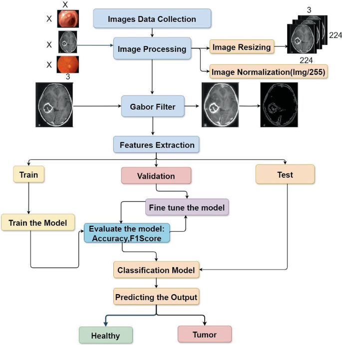 Utilizing Deep Learning for the Classification of Multiple Diseases ...