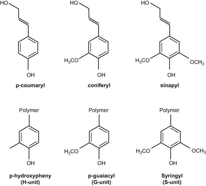 Lignin as Flocculants | SpringerLink