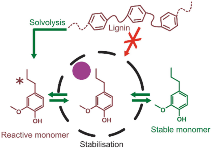 Valorization of Lignin for Sustainable Biochemicals | Springer Nature Link
