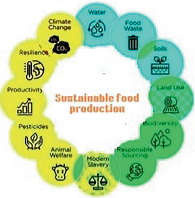 Sustainable Food Production: Harmonizing Ecological Effects with Food ...