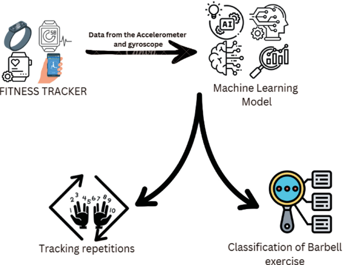 Barbell Exercise Classification and Repetition Counting | SpringerLink