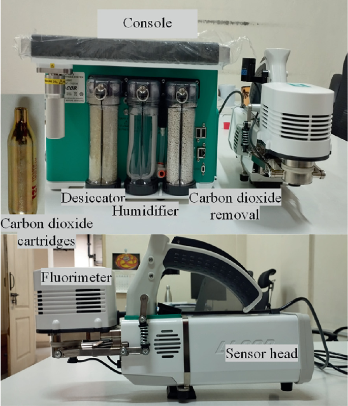 Selection of Suitable Plant for Bioengineering Applications | Springer ...