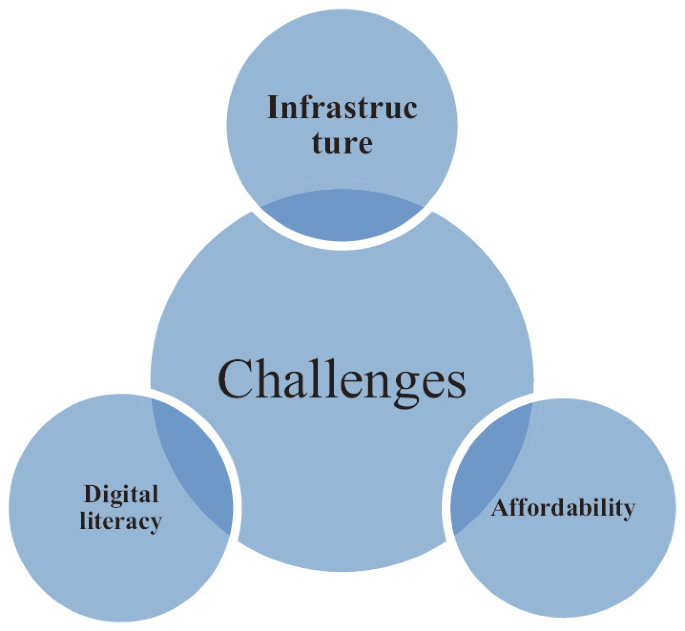 Bridging the Digital Divide: The Role of ICT in Promoting Inclusive ...