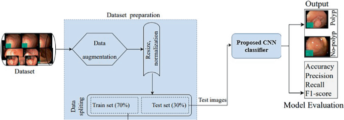 Deep Learning for Colorectal Cancer Screening Using Colonoscopy Images ...
