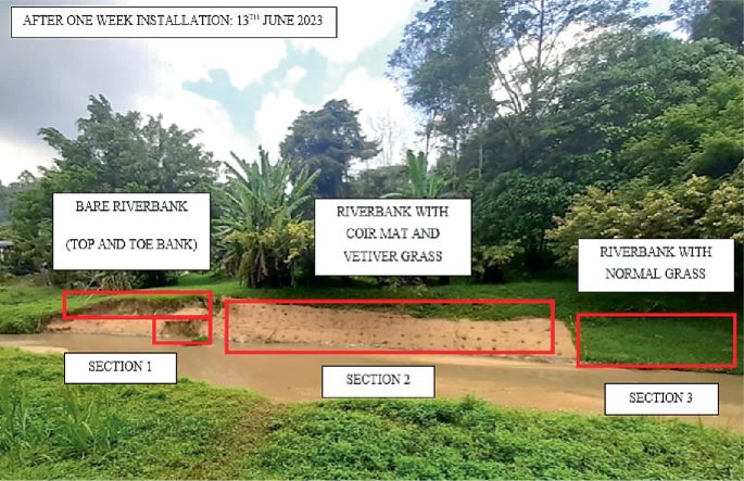 Nature-Based Solutions (NbS) for Sustainable Riverbank Protection Using ...