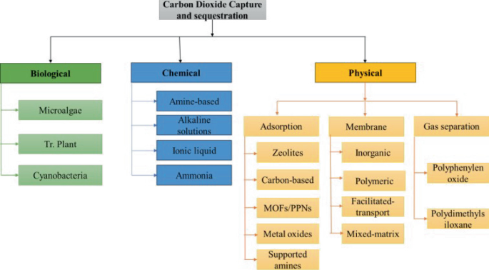 Reviewing Microalgae Research for Carbon Sequestration and Biochar ...