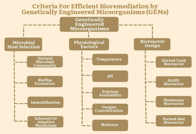As(III) and Cr(VI) Remediation by Genetically Engineered Microorganisms ...