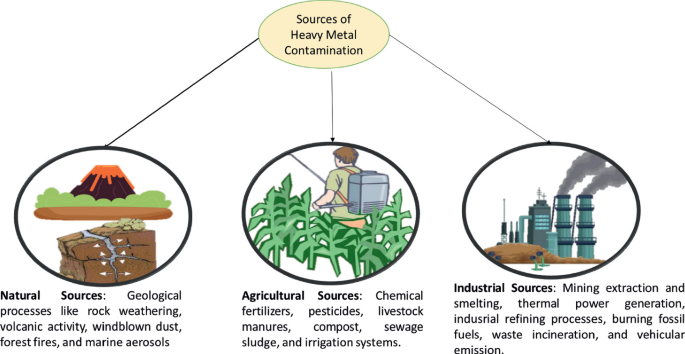 Heavy Metal Resistant Bacteria for Bioremediation of Toxic Heavy Metals ...