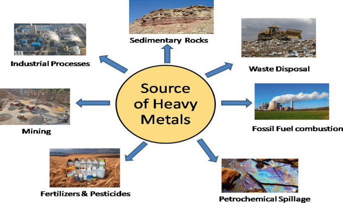 Heavy Metals as Ecological Contaminants: Sources, Persistence, Human ...