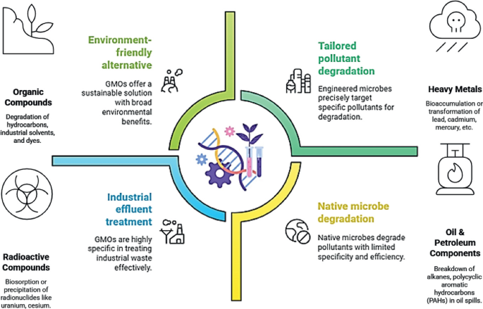 Genetically Modified Microorganisms for Enhanced Heavy Metal Removal ...