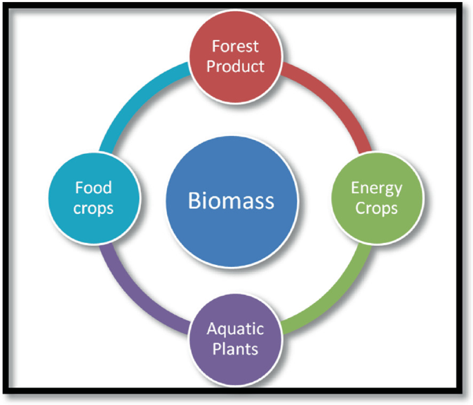 An Extensive Analysis of Using Biomass to Produce Biofuel for Green and ...