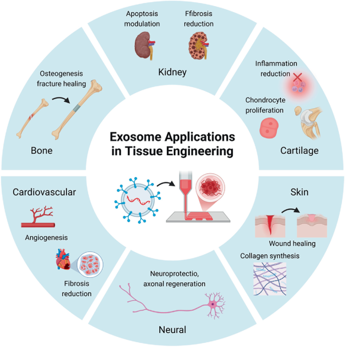 Smart Nanomaterials in Tissue Engineering: Scaffolds, Bioprinting, and ...