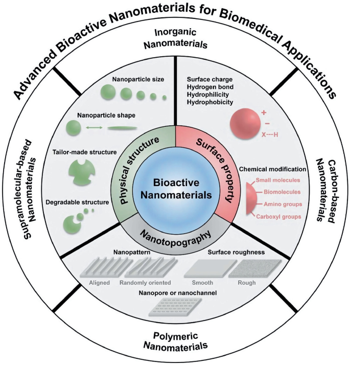 Bioactive Nanomaterials: Revolutionizing Biomedical Science | SpringerLink