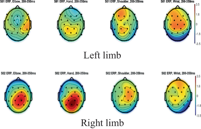 Study of Upper Limb Joints Movement Using EEG | SpringerLink