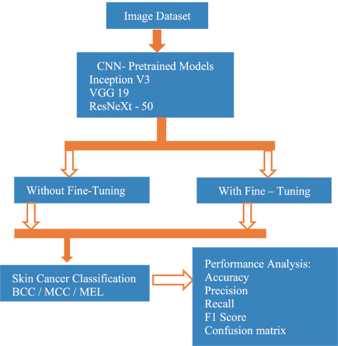 Evaluating the Impact of Fine-Tuning on Deep Neural Networks for Skin ...