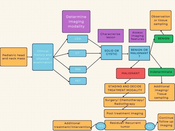 Head and Neck Tumors | SpringerLink