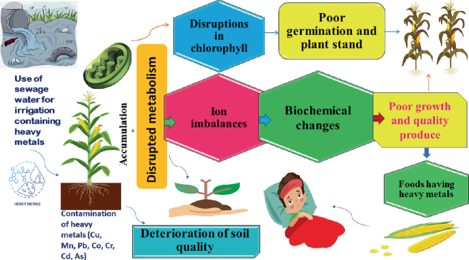Influence of Poor Water Quality on Crop Productivity and Quality of ...