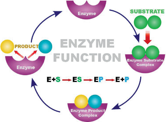 Basic Concepts of Catalytic Materials and Summary of All the Chapters ...