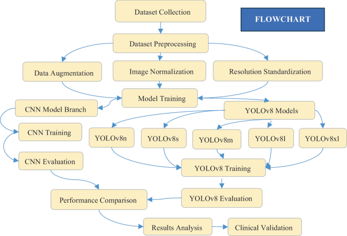 Benchmarking CNN and YOLOv8 Models for Dental Caries Detection Using ...