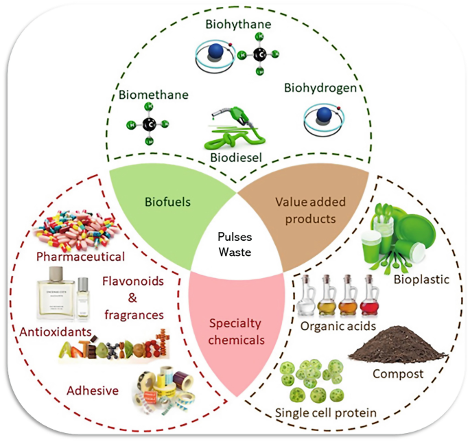 Valorization of Pulse Waste to Biofuels and Chemicals | SpringerLink