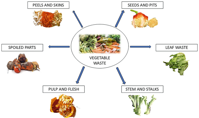 Vegetable Waste as a Low-Cost Source of Biofuels and Chemicals ...