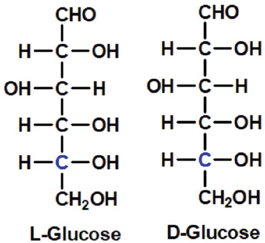 Dietary Fibers and Complex Carbohydrates as Functional Food Ingredients ...