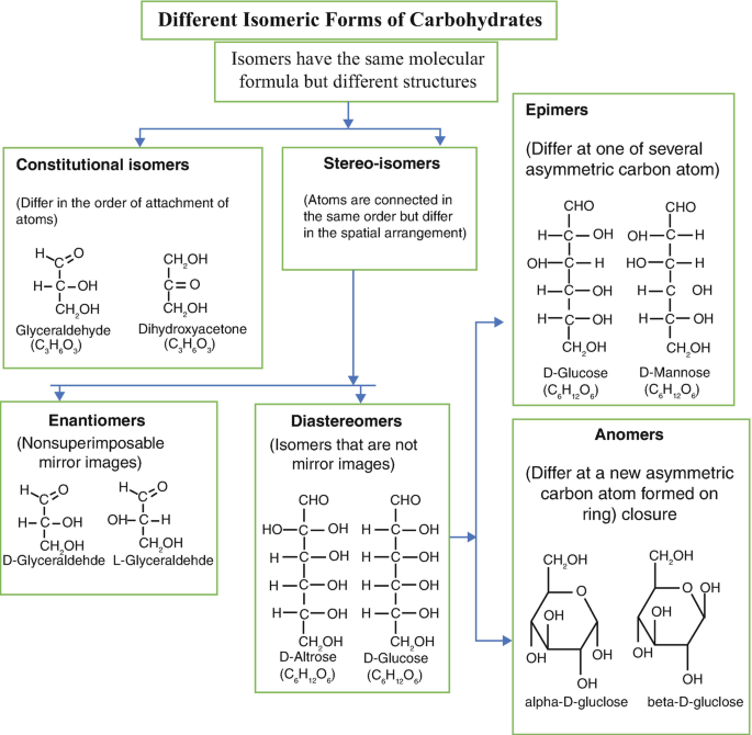 Dietary Fibers and Complex Carbohydrates as Functional Food Ingredients ...