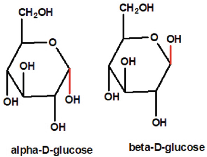 Dietary Fibers and Complex Carbohydrates as Functional Food Ingredients ...