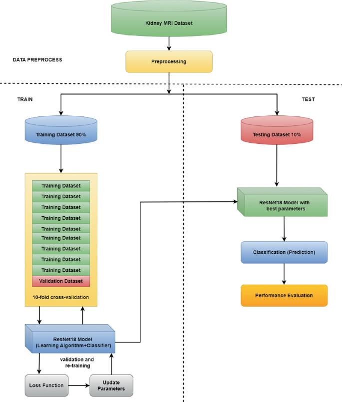 Kidney MRI Classification Using Deep Learning | Springer Nature Link (formerly SpringerLink)
