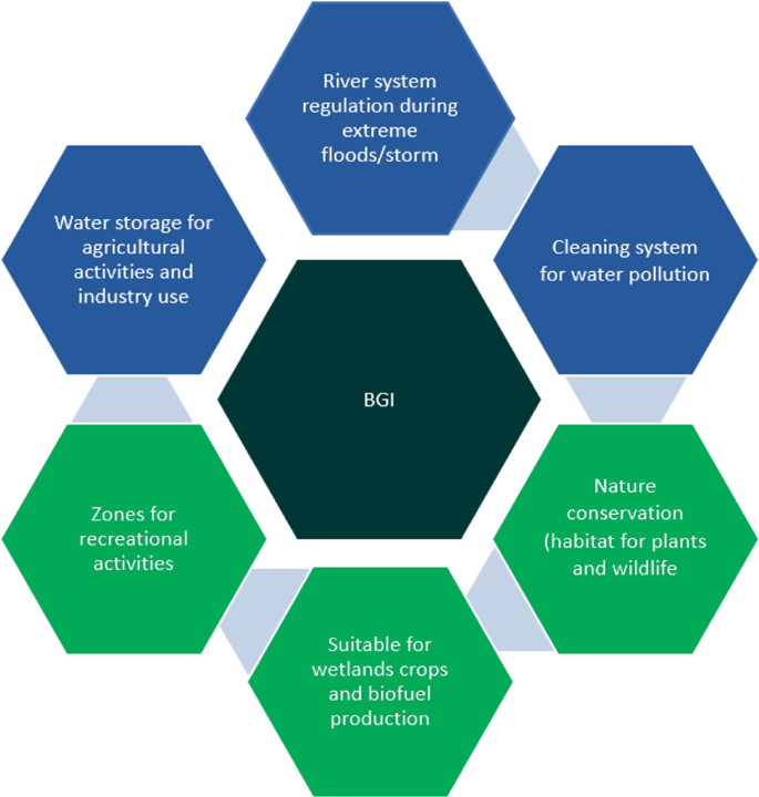 Global Actions for Climate-Resilient Blue-Green Infrastructure ...