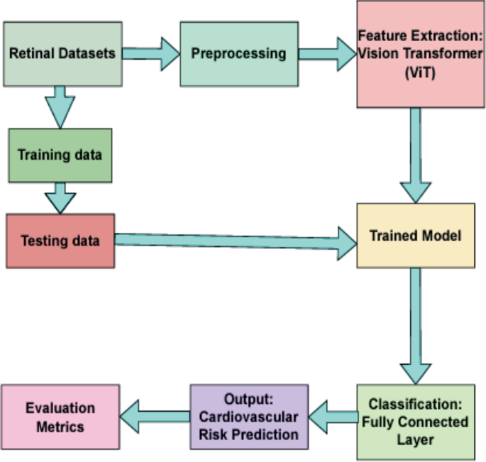 RetinaViTNet: A Vision Transformer-Based Framework for Cardiovascular ...
