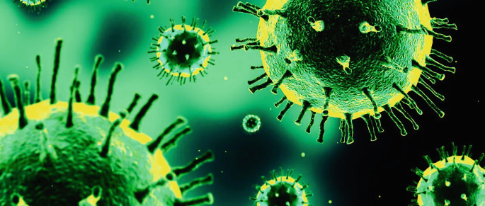 Applications of Deep Learning in Virology | SpringerLink