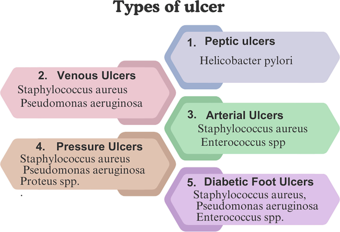 Ulcers Associated with Bacterial Biofilms | Springer Nature Link