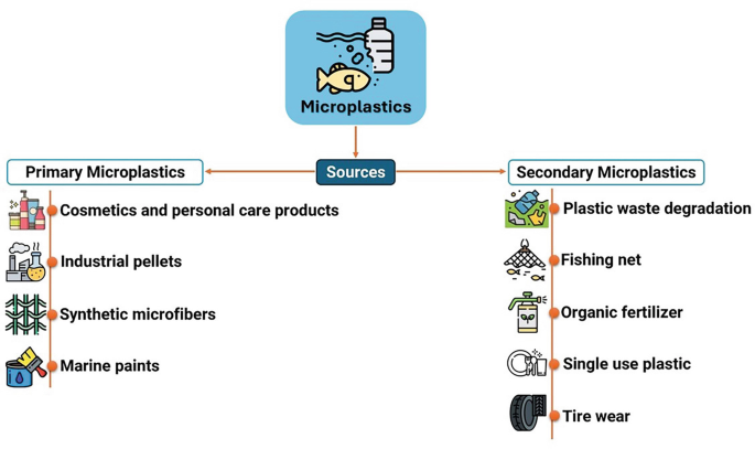Socioeconomic Impacts of Microplastics Pollution in the Marine ...