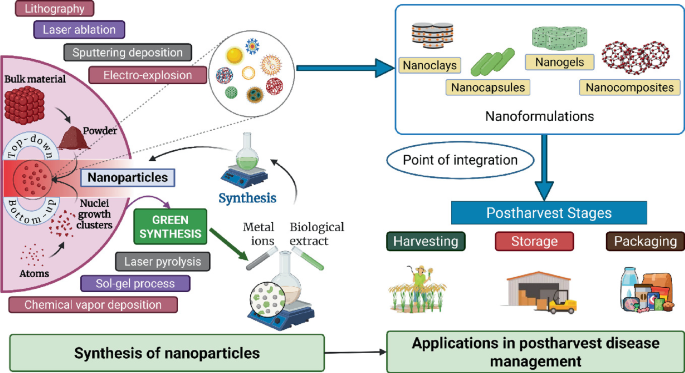 Nanobiotechnology for Integrated Postharvest Disease Management ...