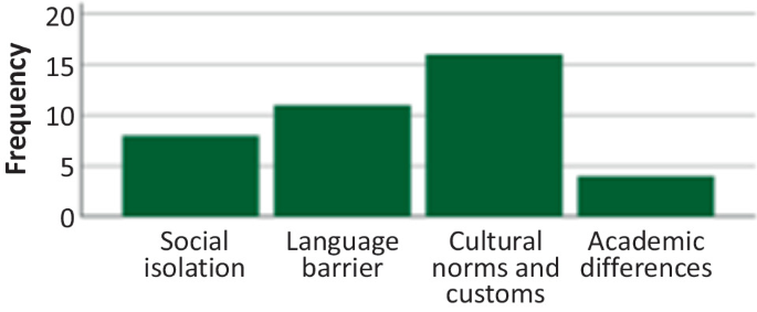 International Students’ Perceptions of Cultural Adaptation and Academic ...