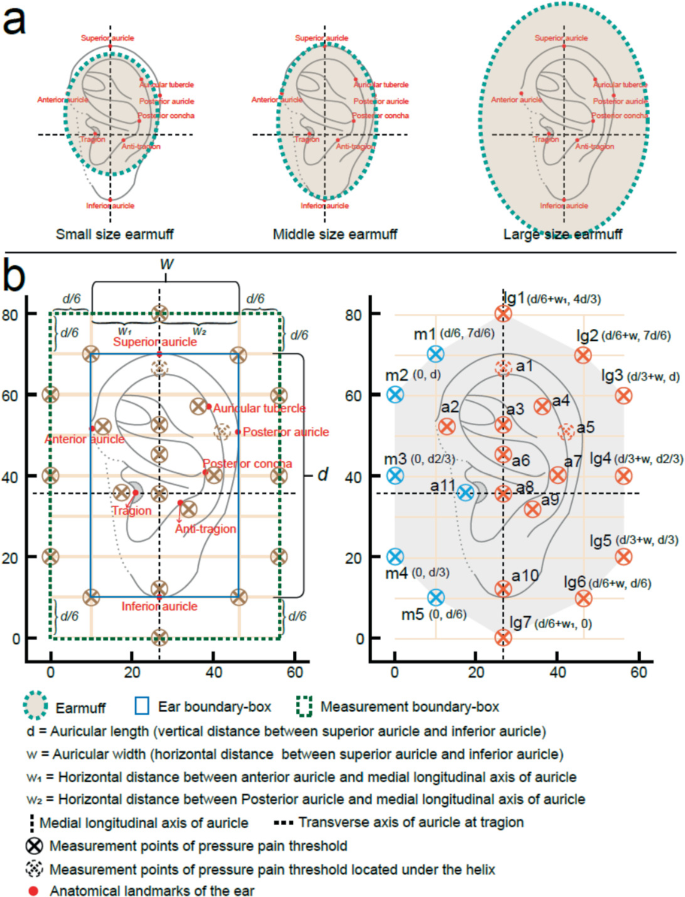Surface Pressure Sensitivity of the Auricle and Periauricular Areas for ...